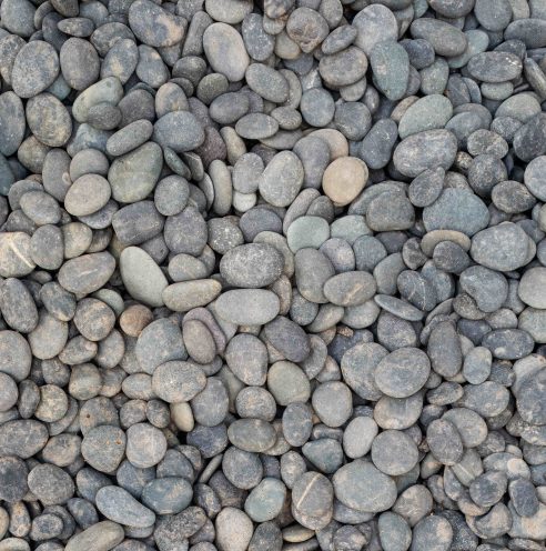 Atrium Labs | GCI General Contractors